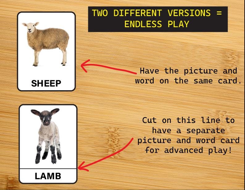 Printable Flash Cards, 25 Farm Animals, Three Part Montessori Cards ...