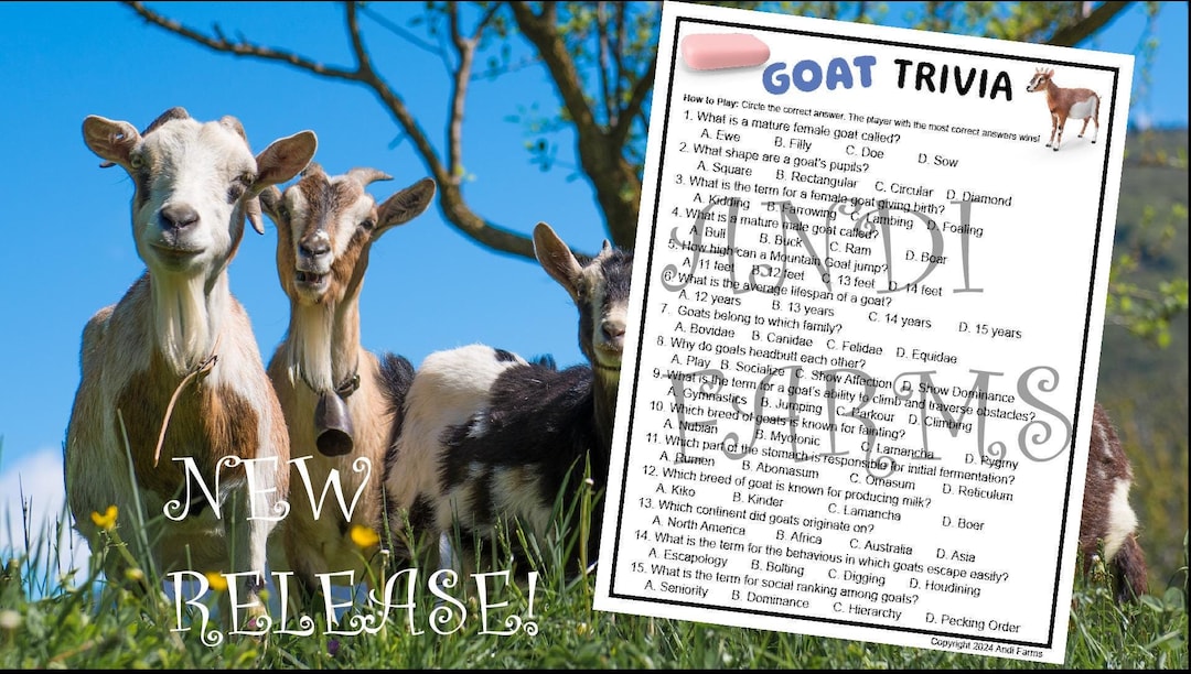 Goat Trivia Game, Homeschool Printables, Office Games, Homeschool ...