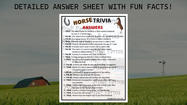 Horse Trivia Game, Homeschool Printables, Office Games, Homeschool ...