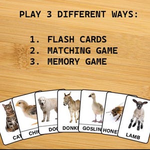 Printable Flash Cards, 25 Farm Animals, Three Part Montessori Cards ...