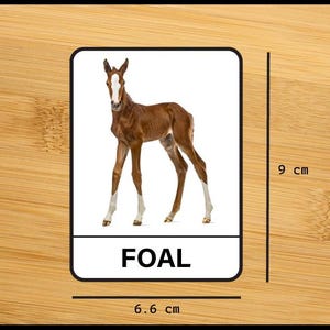 Printable Flash Cards, 25 Farm Animals, Three Part Montessori Cards ...