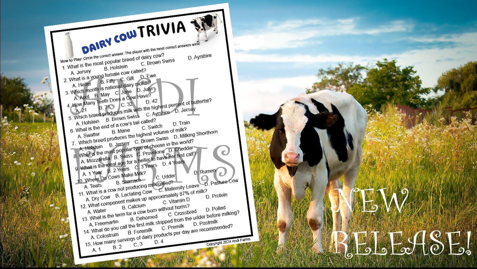 Cow Trivia Game, Homeschool Printables, Office Games, Homeschool ...