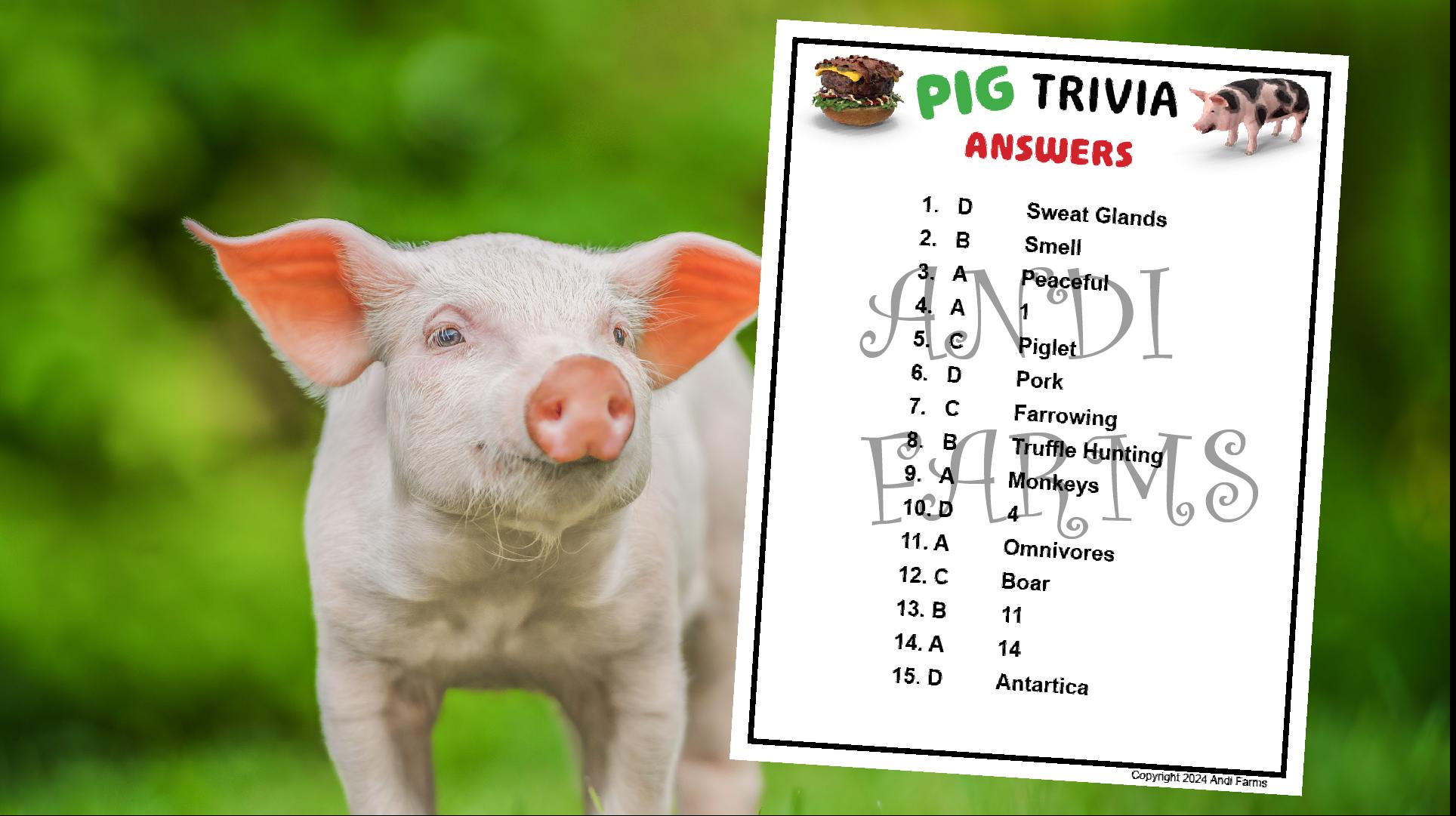 Pig Trivia Game, Homeschool Printables, Office Games, Homeschool ...