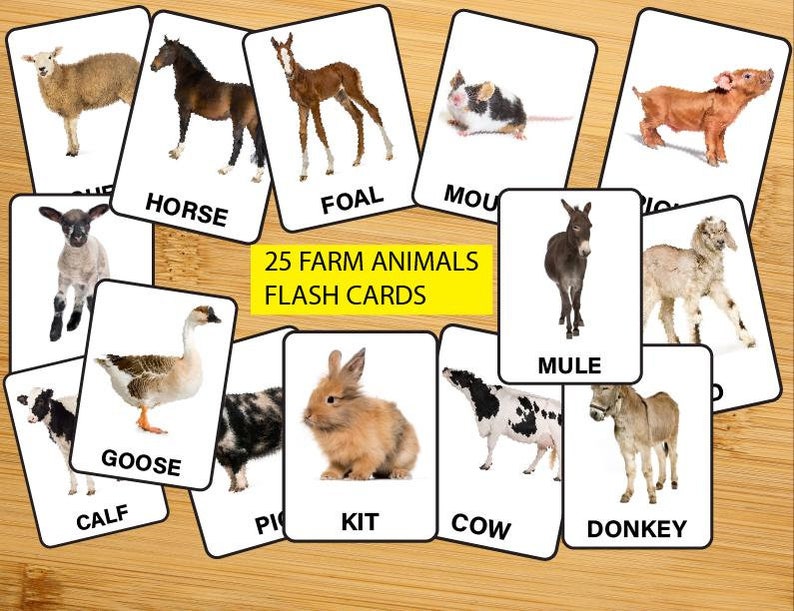 Printable Flash Cards, 25 Farm Animals, Three Part Montessori Cards ...