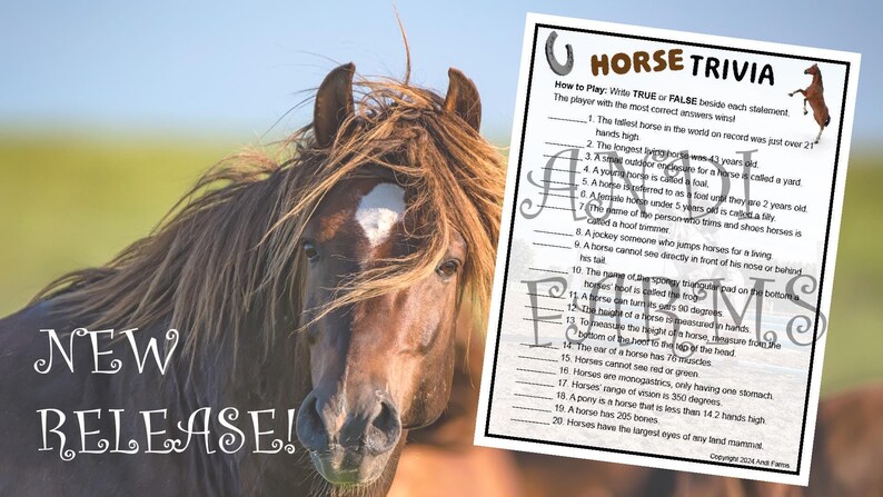 Horse Trivia Game, Homeschool Printables, Office Games, Homeschool ...