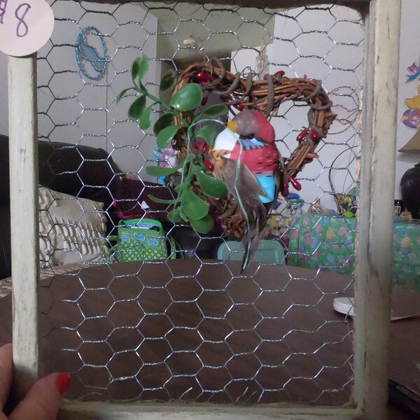 Chicken Wire Frame - Etsy