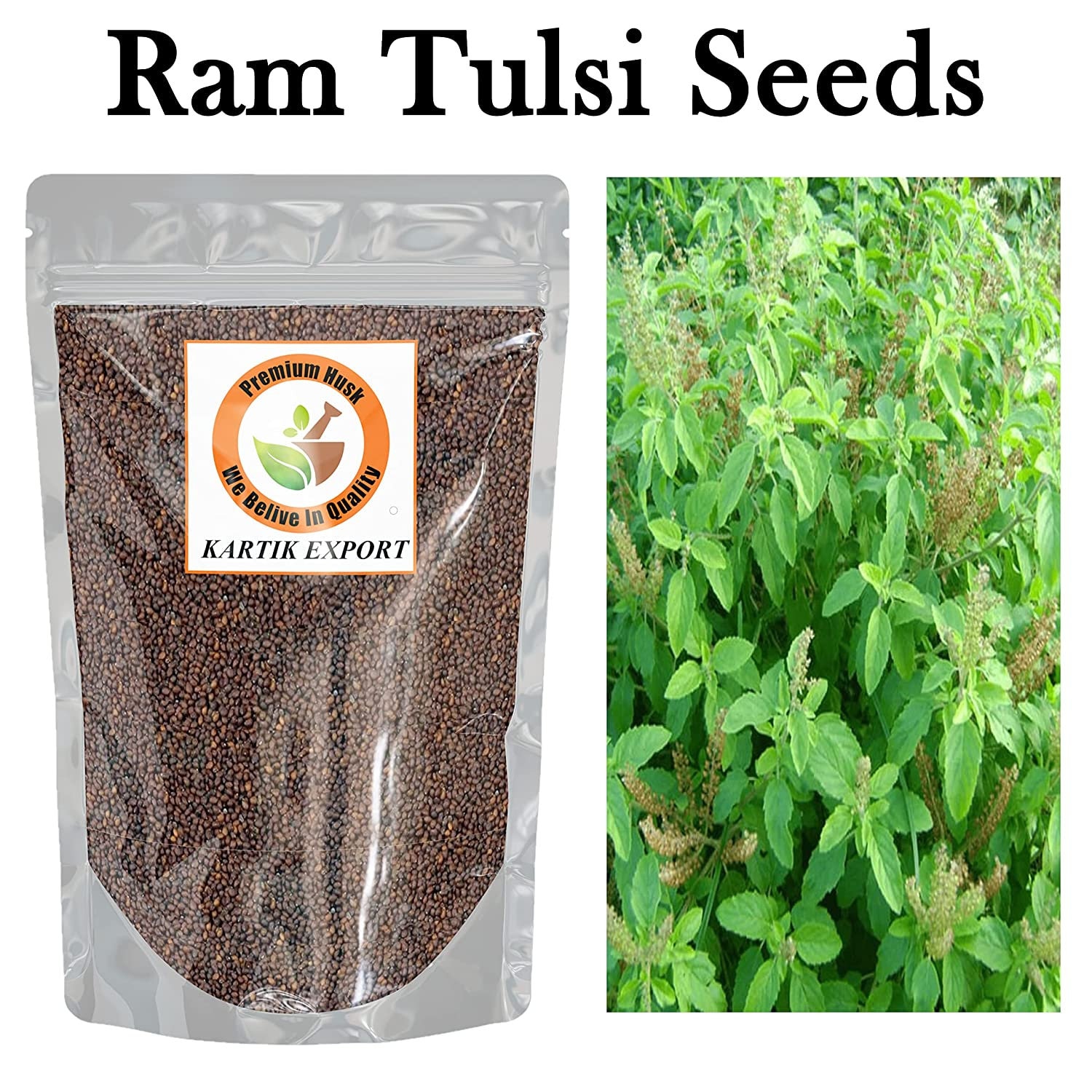 Homegrown Holy Basil Seeds 100,tulsi Herb Seeds culinary Herb,ready to ...