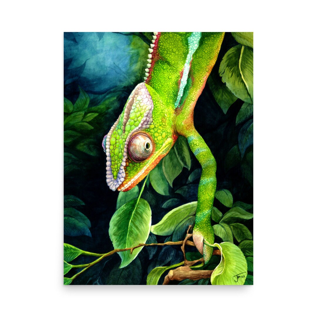 Watercolor Chameleon - Illustrated Poster Print - Etsy