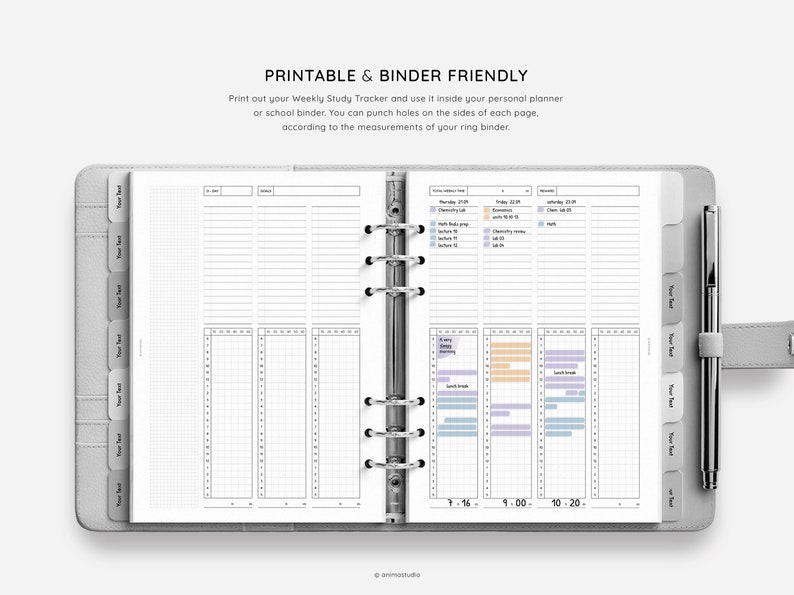 Printable Weekly Study Tracker 10 Minute Planner, Dated Undated , A4 ...