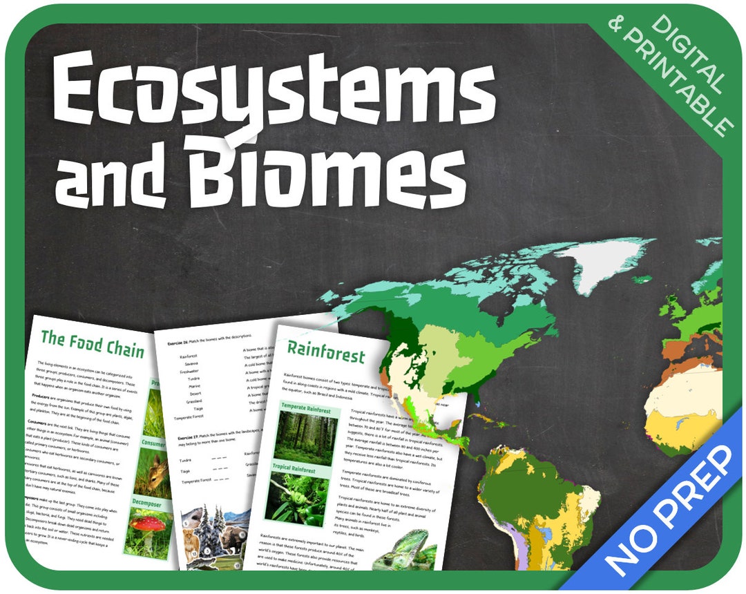 Biomes and Ecosystems - Etsy