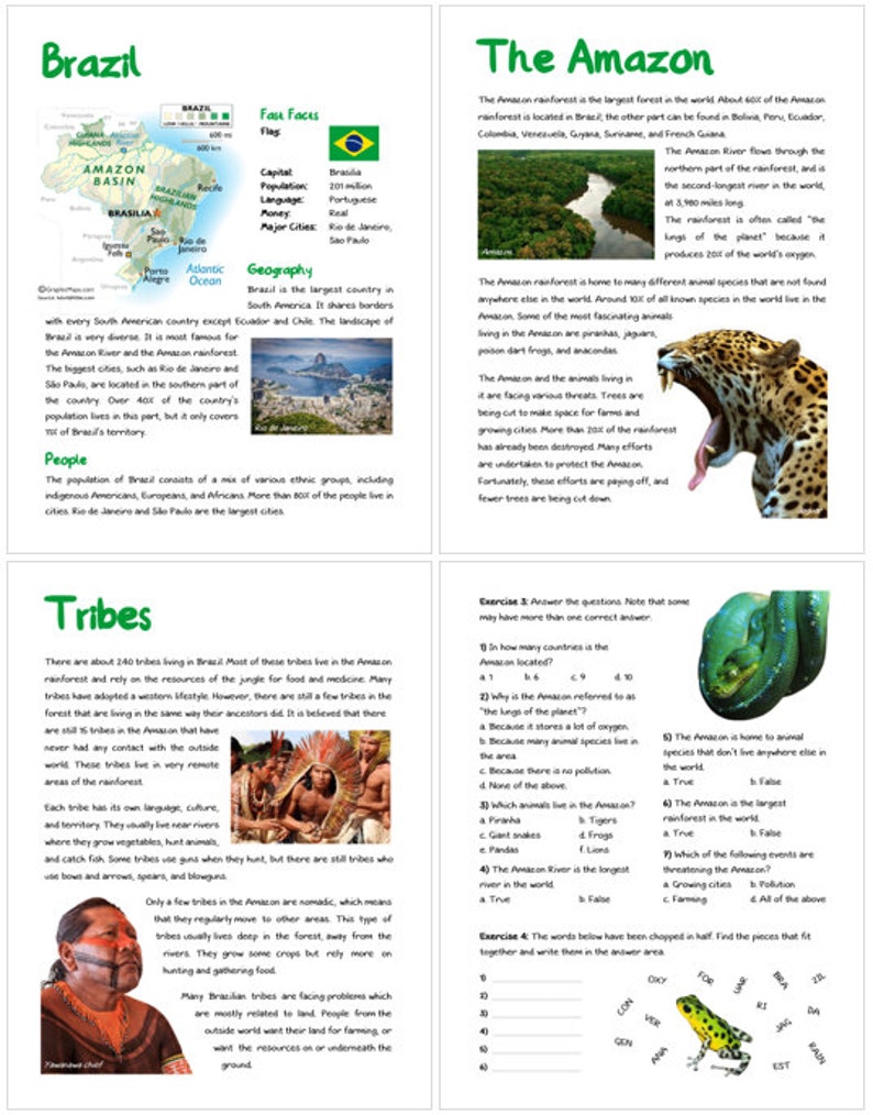 Brazil (fun Stuff for Elementary Grades) - Etsy