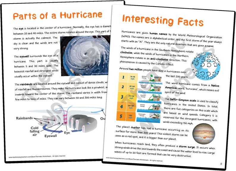 Hurricanes - Etsy
