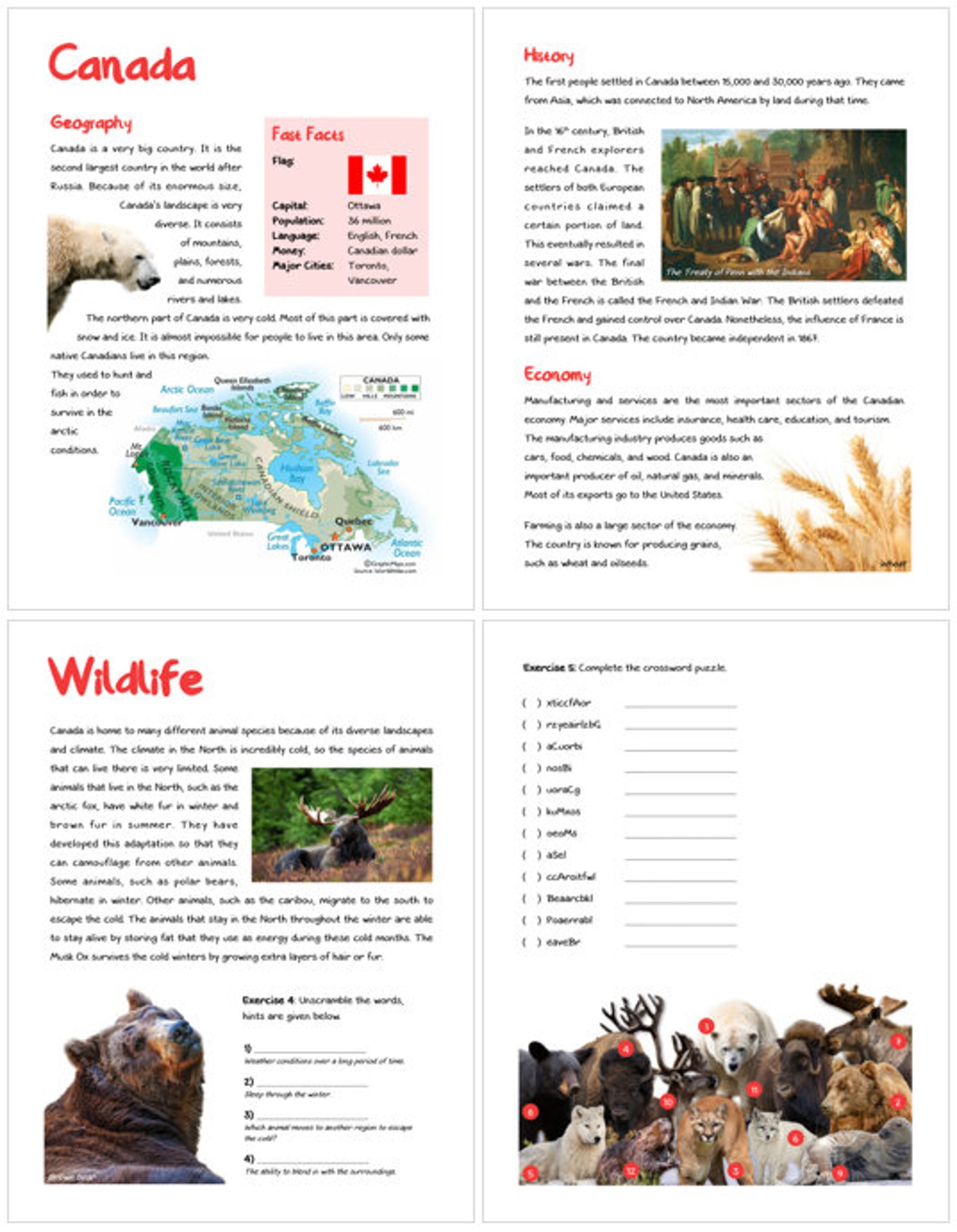 Canada (fun Stuff for Elementary Grades) - Etsy