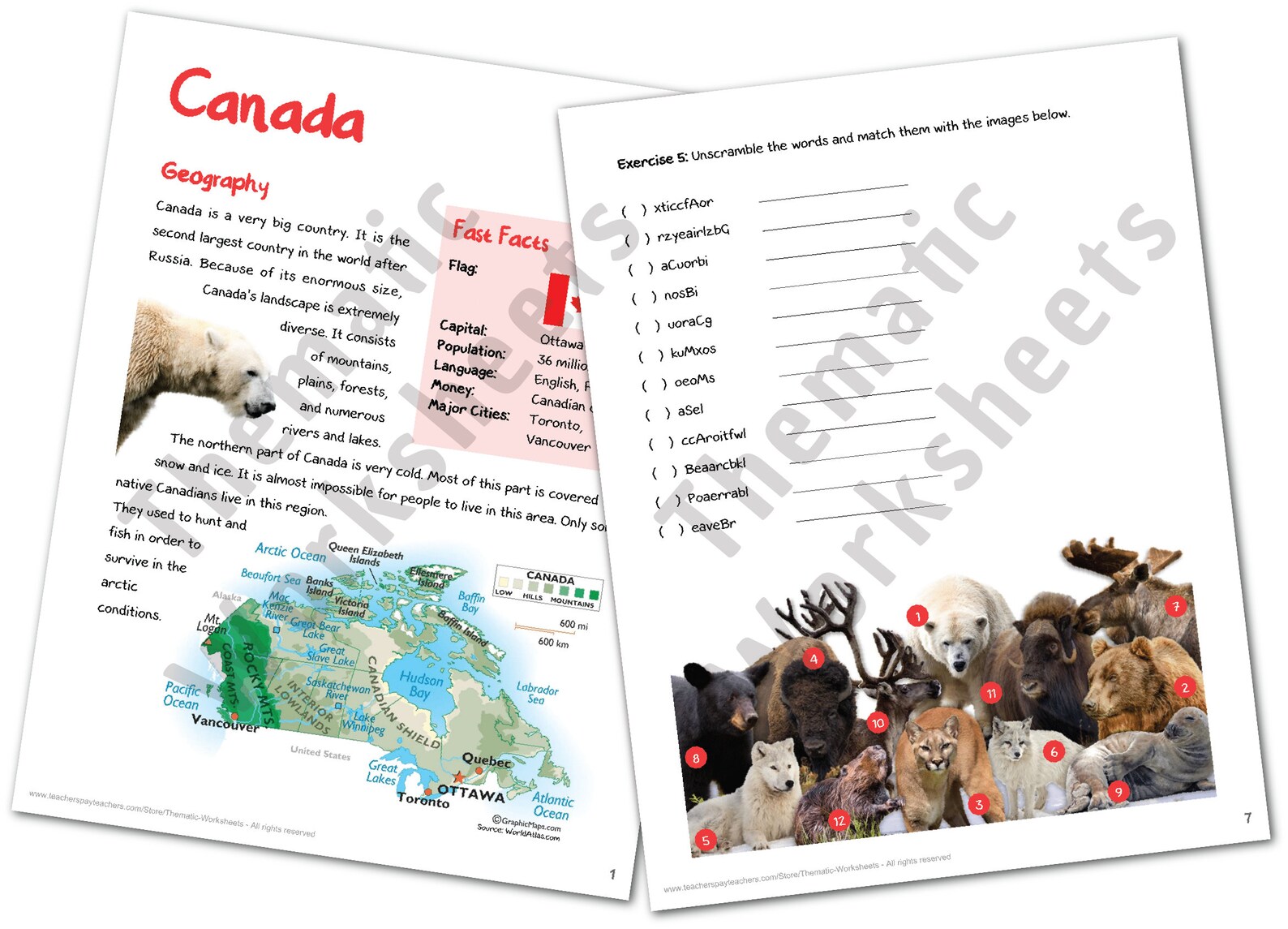 Canada (fun Stuff for Elementary Grades) - Etsy