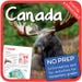 Canada (fun Stuff for Elementary Grades) - Etsy