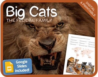 Printable Big Cats Coloring Pages - Etsy