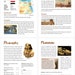 Egypt (fun Stuff for Elementary Grades) - Etsy