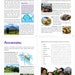 Costa Rica (fun Stuff for Elementary Grades) - Etsy