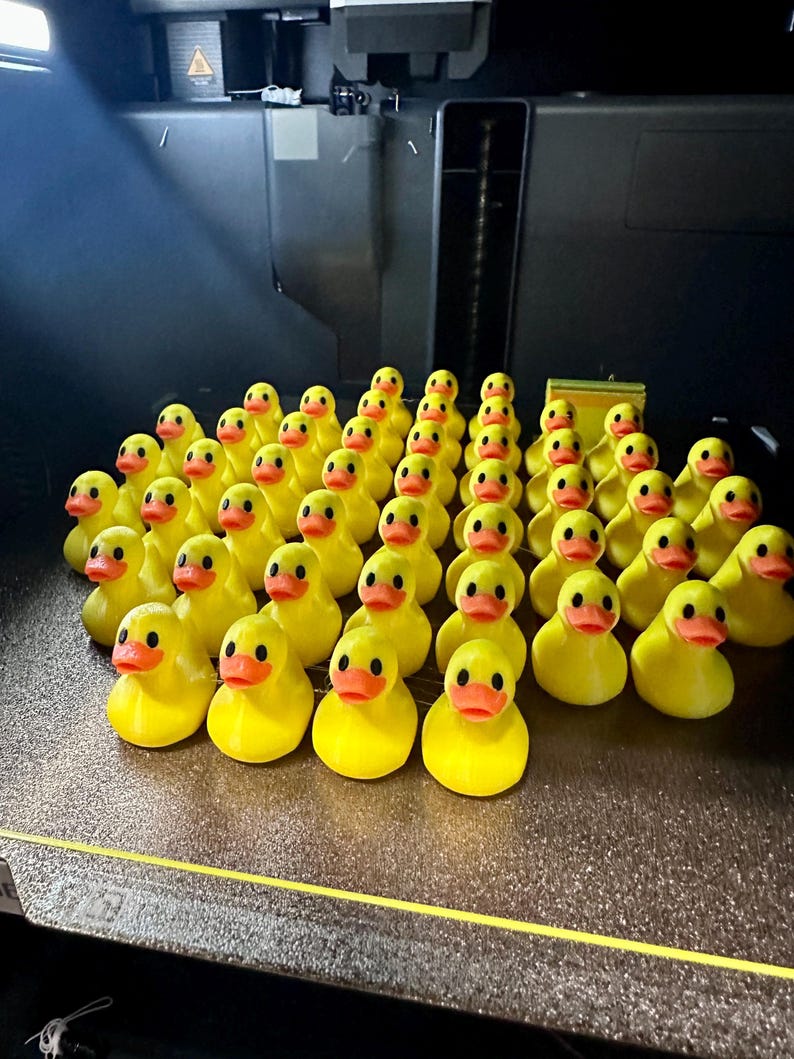 Cruise Ducks, Ducks to Hide on Cruise Ships, Hidden Rubber Ducks ...