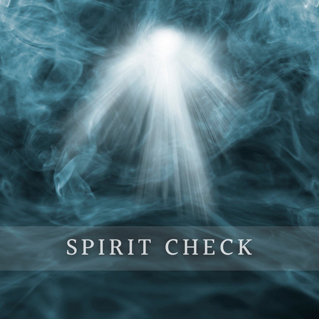 Spirit Assessment/spirit Companions Check - Etsy