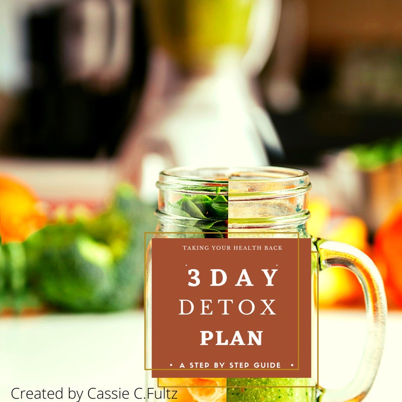 3 Day Detox Plan TIPS RECIPES GROCERY List & More - Etsy