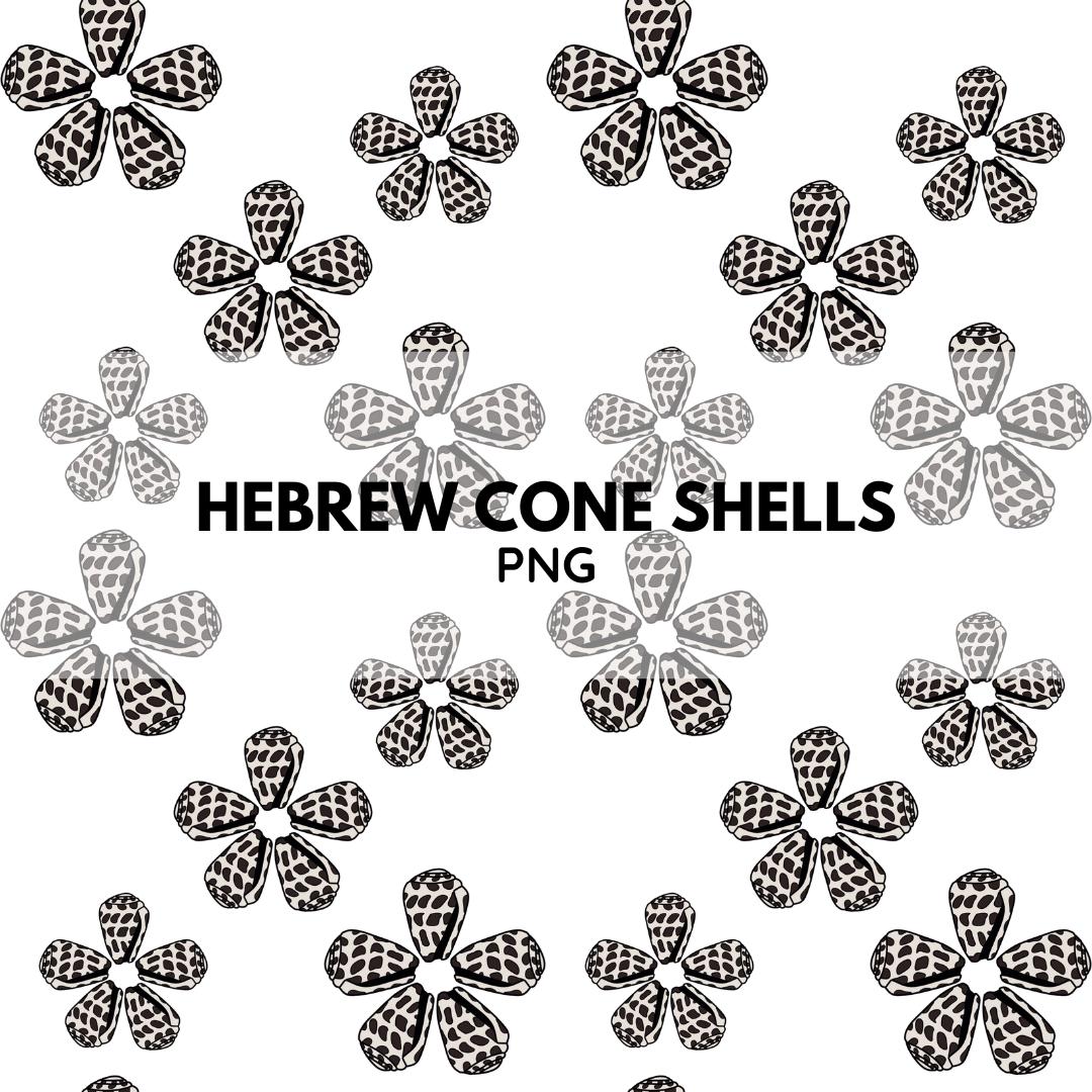 Hebrew Cone Shell PNG | Beach Shell Pattern | Pattern Print | PNG File ...