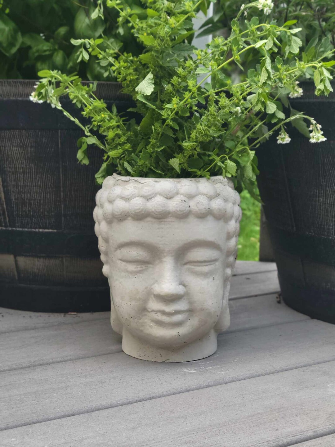 Buddha Planters - Etsy