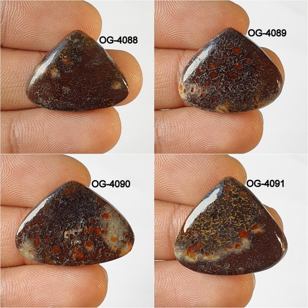 Rare Dinosaur Bone Gemstone - Smooth Polished Dinosaur Bone Cabochon - Rare Dinosaur Bone ...