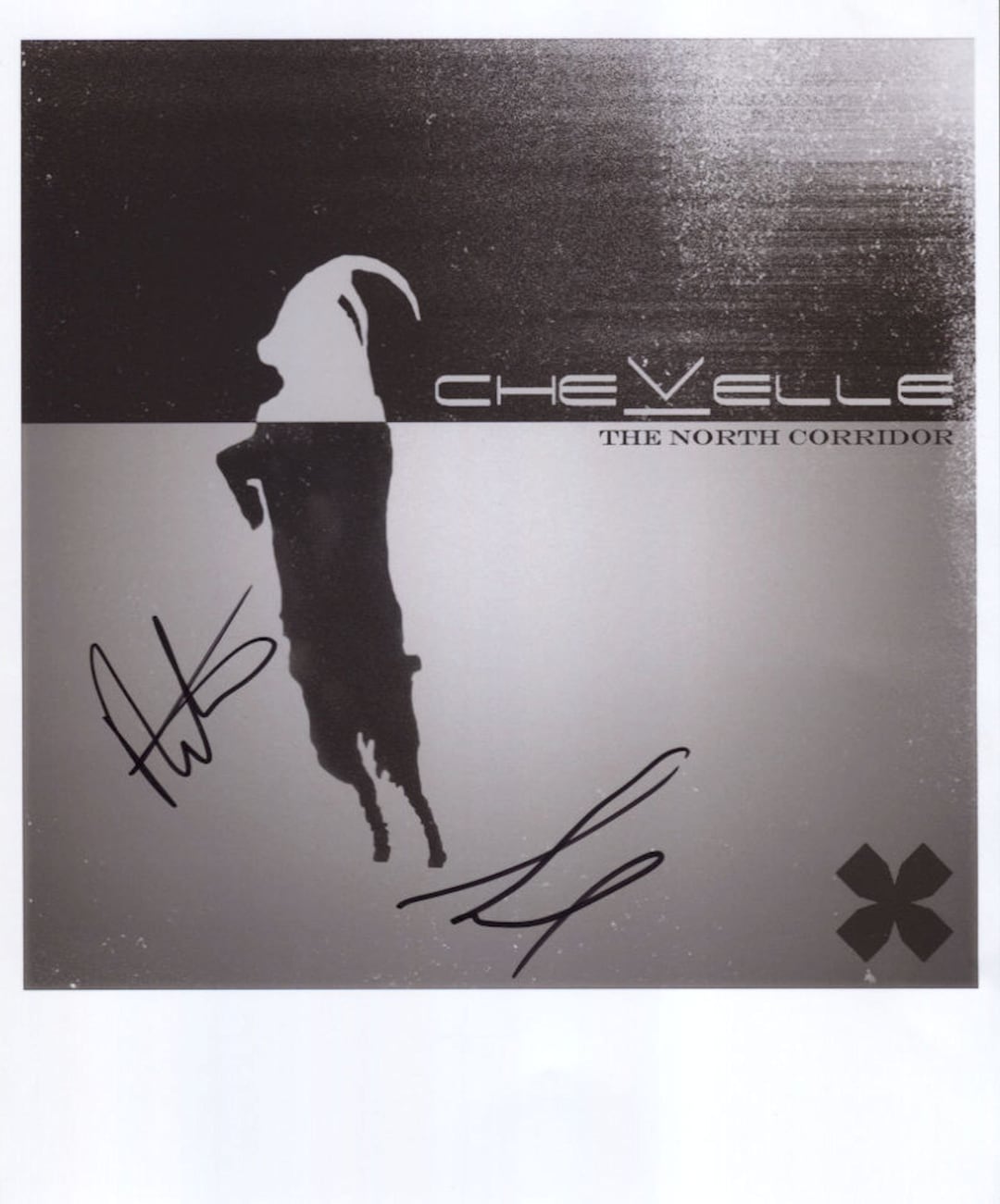 Chevelle band Pete and Sam Loeffler SIGNED 8 X 10 Photo Certificate of ...