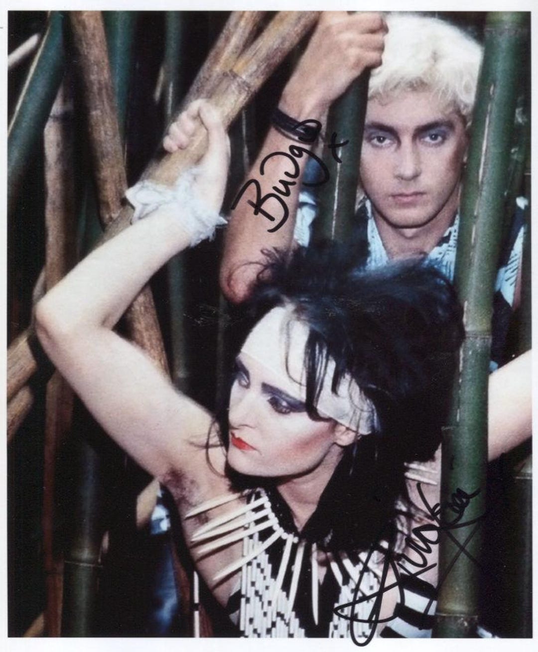 The Creatures Siouxsie Sioux & Budgie SIGNED 8" X 10" Photo ...
