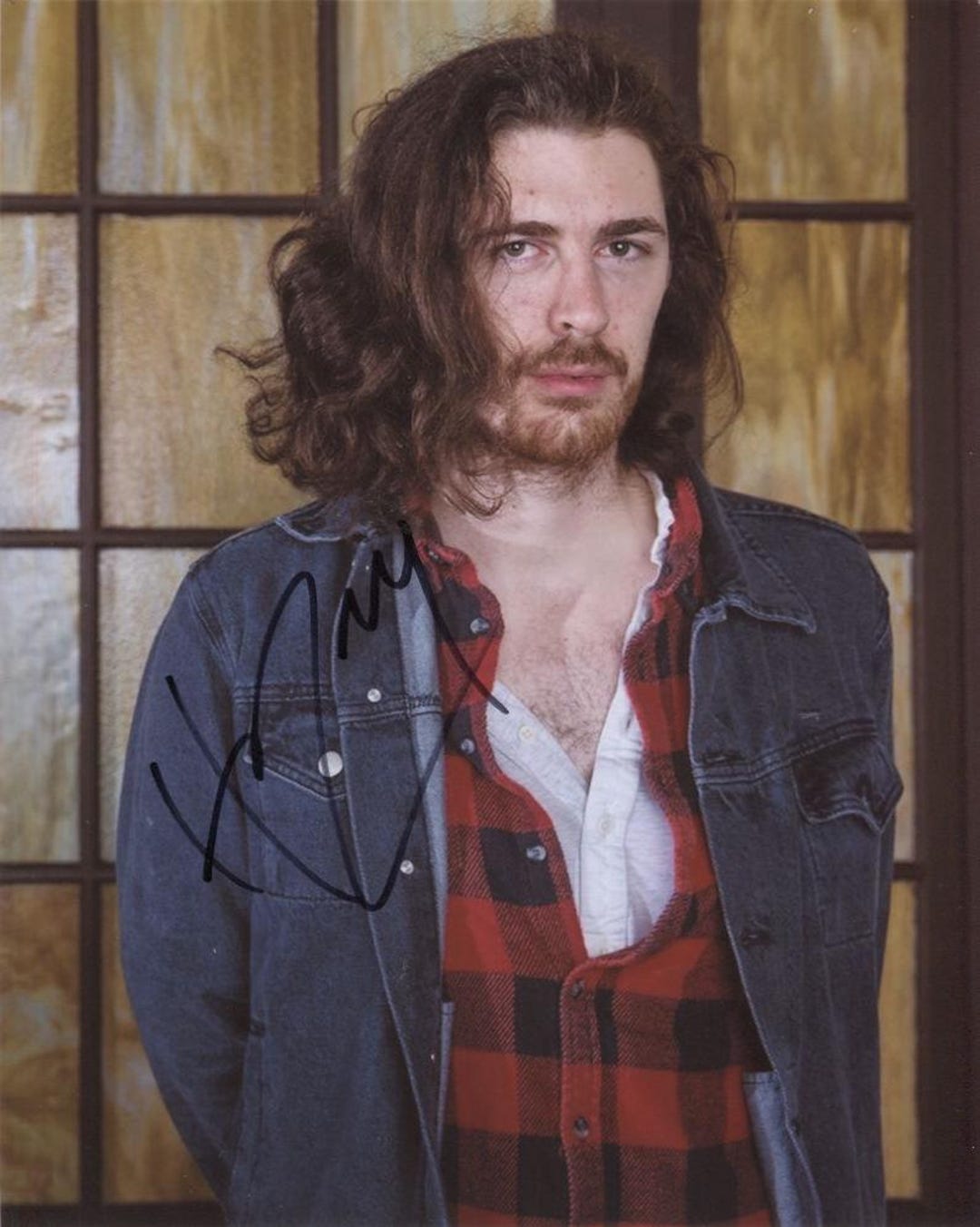Hozier (irish Singer) SIGNED 8" X 10" Photo + Certificate of Authentication 100% Genuine - Etsy