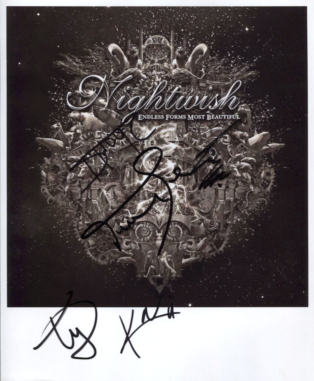 Nightwish finnish Metal Band FULLY SIGNED 8 X 10 Photo Certificate of ...