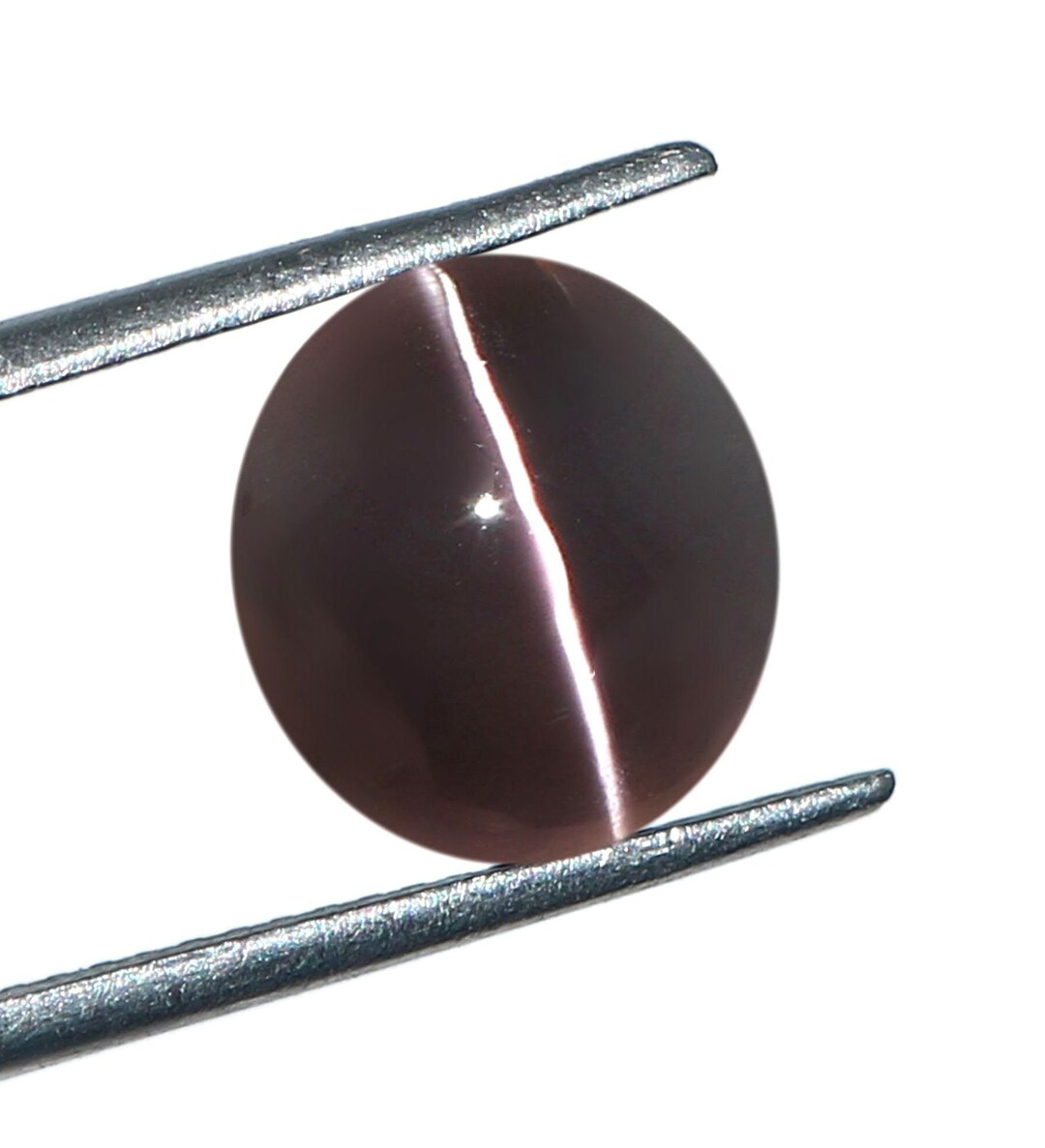 Amazing Greyish Cat Natural Sillimanite Cat's Eye 5.60 Carats 9x11 MM ...