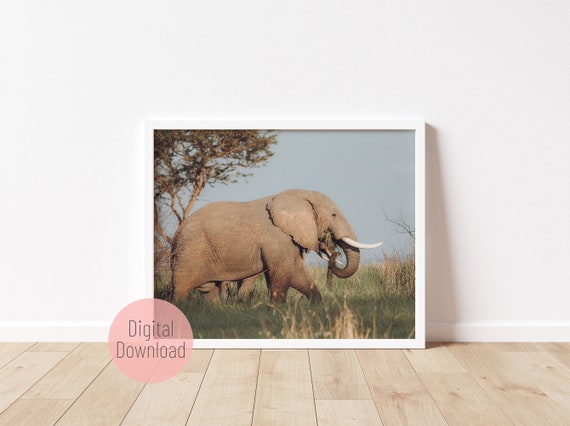 Elephant Wall Art Print Elephant Poster African Animal | Etsy