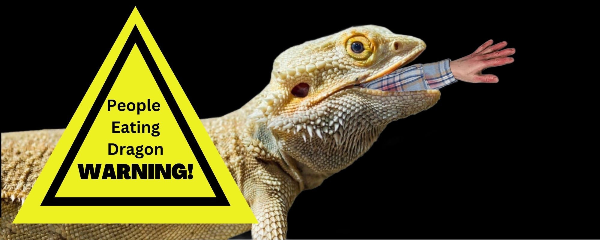 Bearded Dragon Signs - Etsy