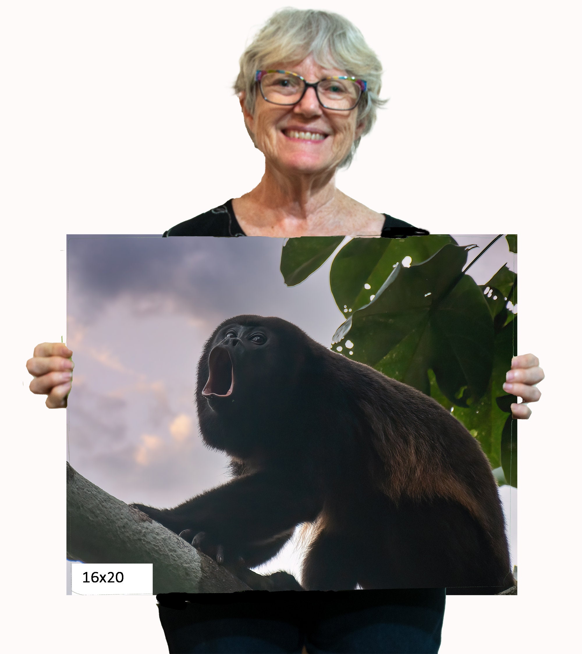 Howler Monkey in Mid-howl Wall Art - Etsy