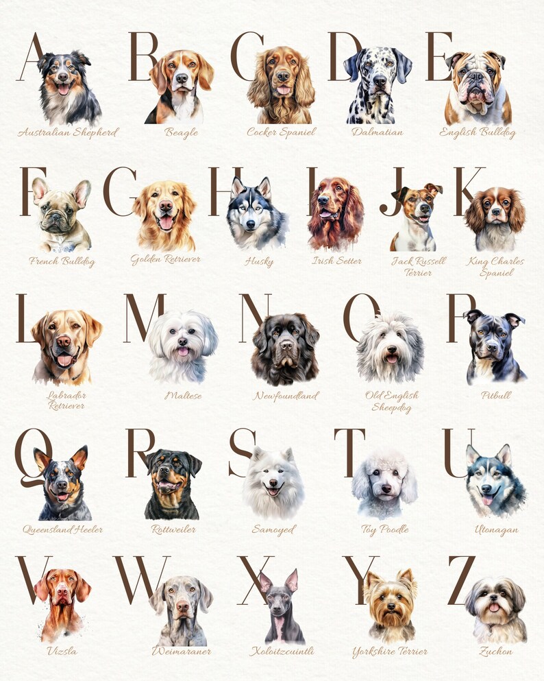Dog Alphabet Art-digital Download nursery Decor, Dog Breed Alphabet ...