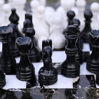 Charlie Brown Sally and Snoop Chess Set - Etsy
