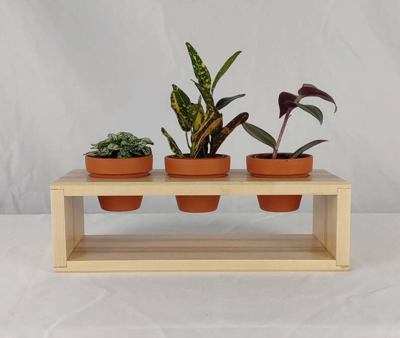Clay Pot Stand for 2" Pots, Handmade Plant Stand - Etsy