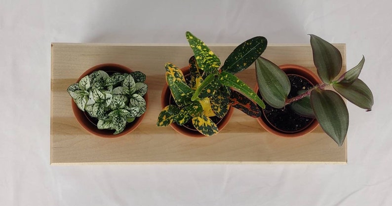 Clay Pot Stand for 2" Pots, Handmade Plant Stand - Etsy