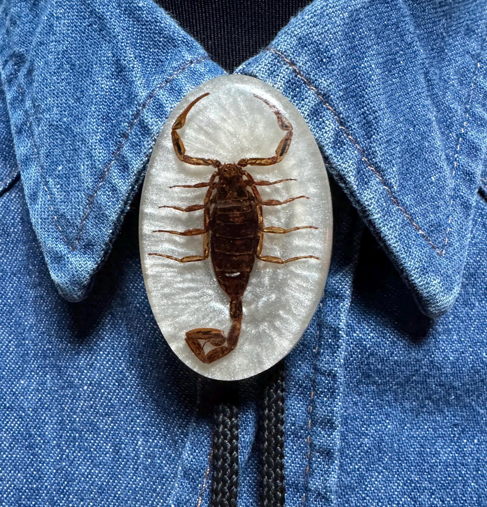 Western Bolo Tie With Scorpion on Rope - Etsy