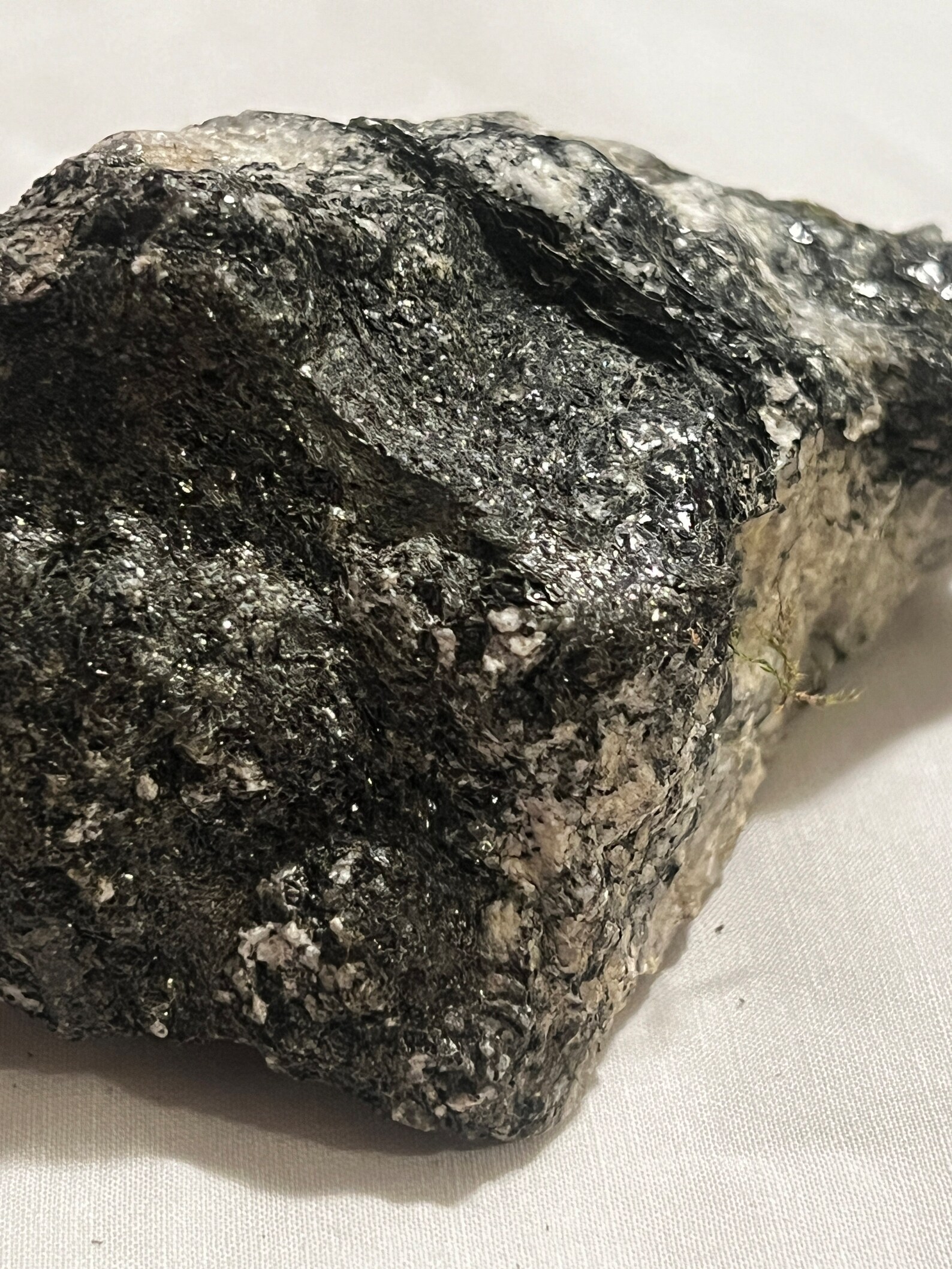Black Mica Biotite With Quartz Specimen - Etsy