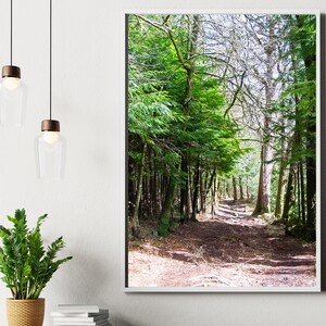 Forest Pathway Through Trees Nature Art Print, Wall Art! Instant ...