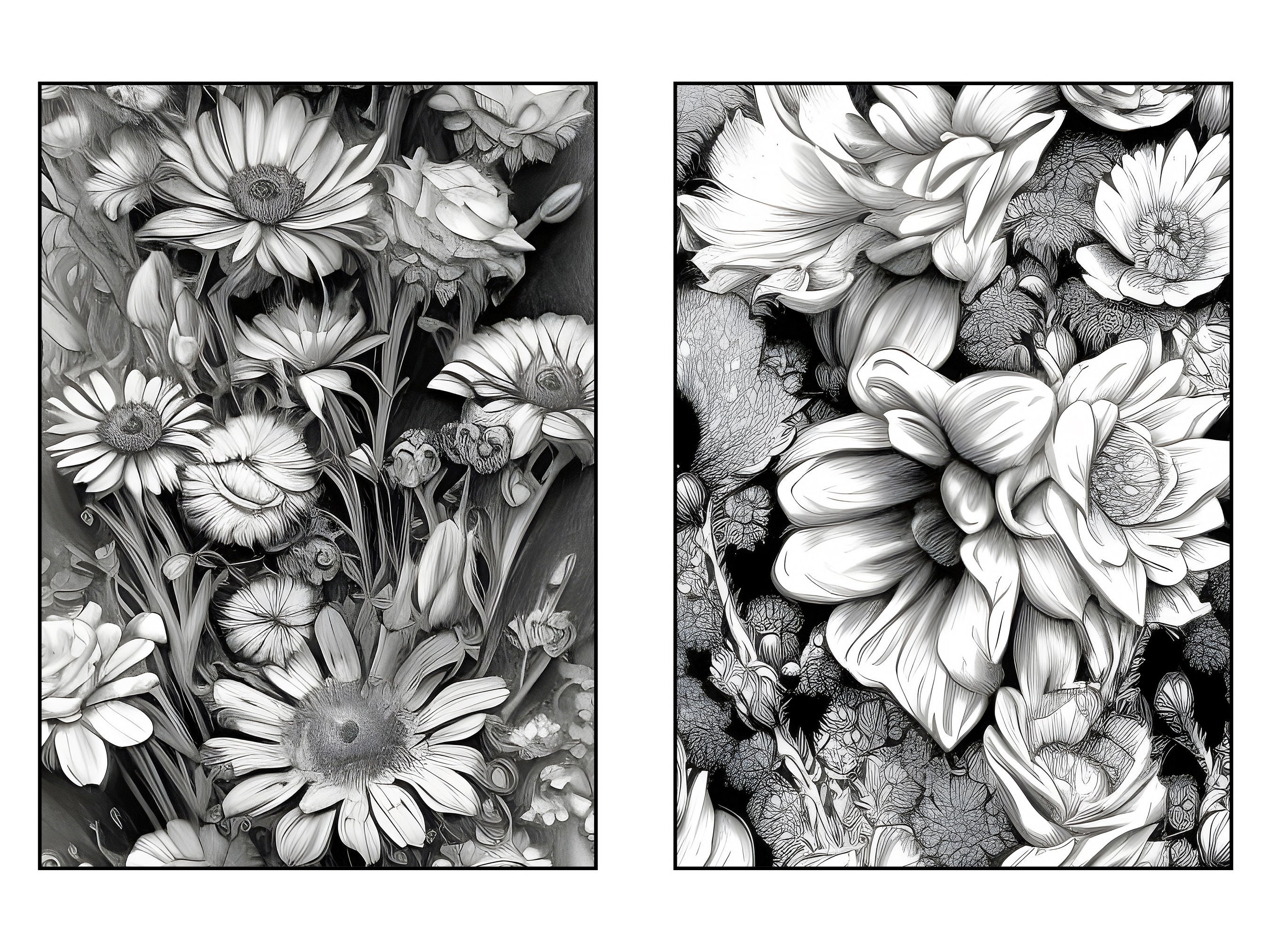 Flowers 20 Grayscale Coloring Pages Instant Digital Download - Etsy