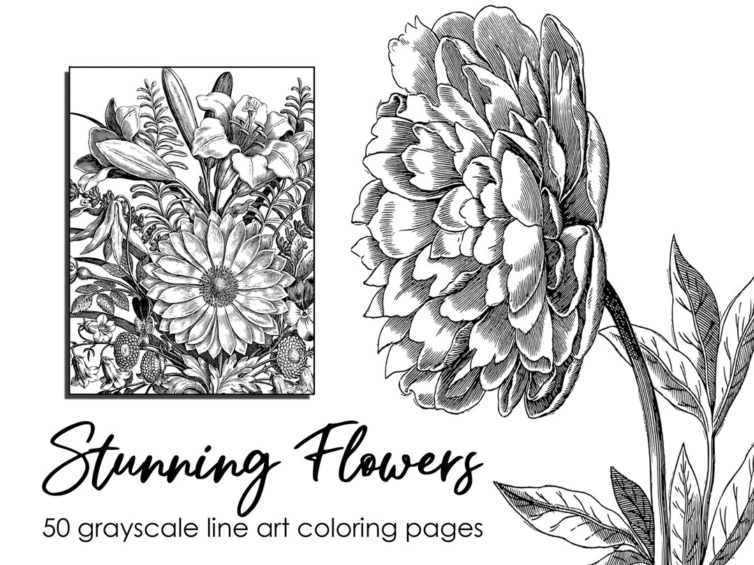 Grayscale Flowers Coloring Pages 50 Stunning Line Art Floral Coloring ...