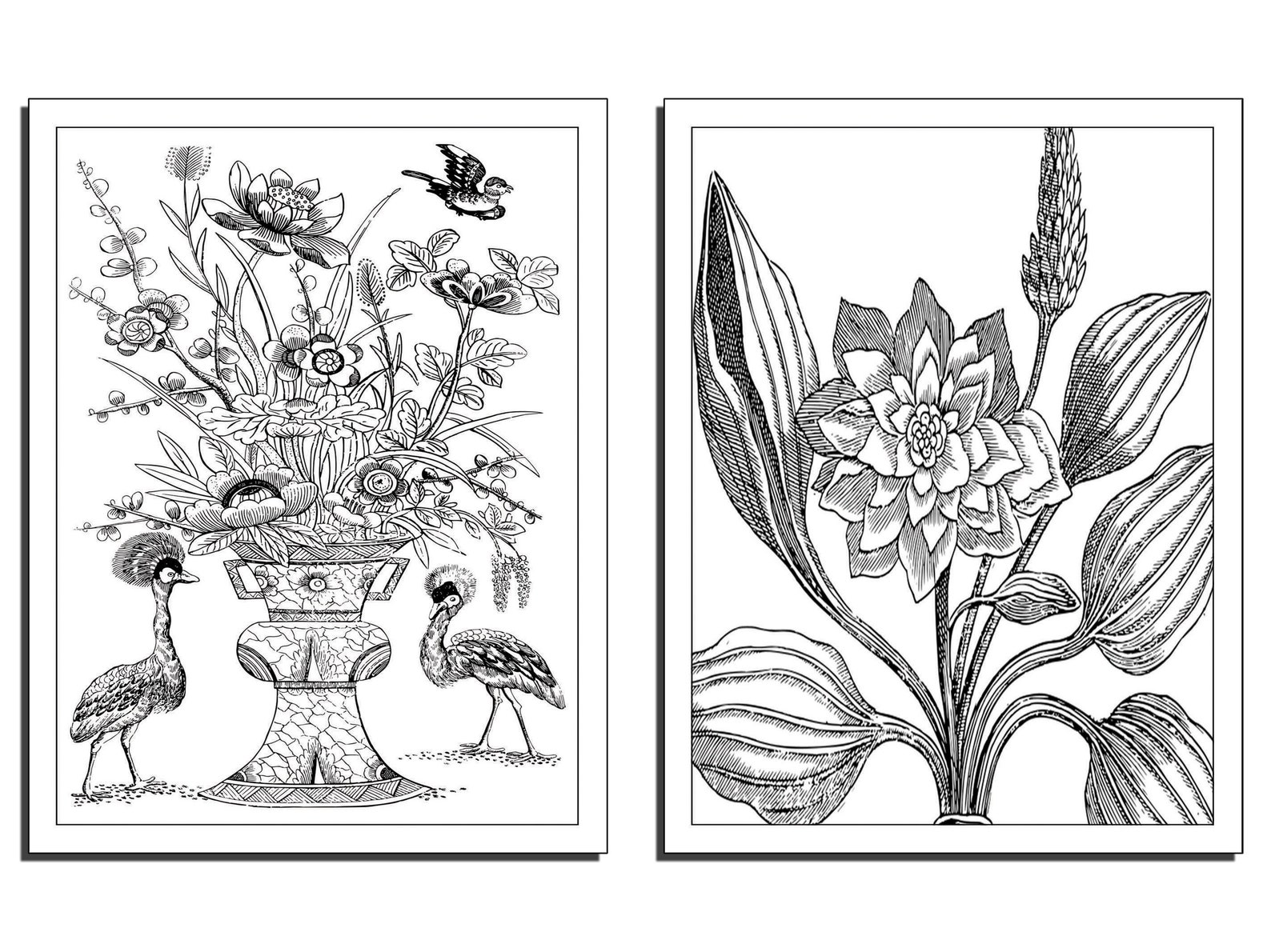 Grayscale Flowers Coloring Pages 50 Stunning Line Art Floral Coloring ...