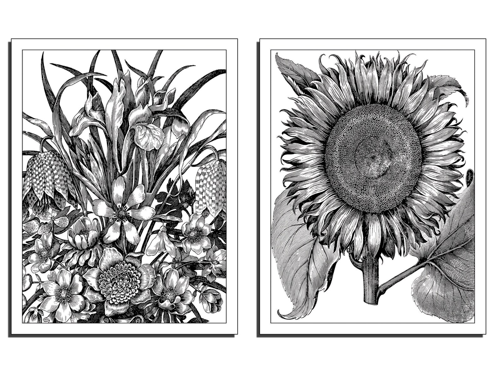 Grayscale Flowers Coloring Pages 50 Stunning Line Art Floral Coloring ...