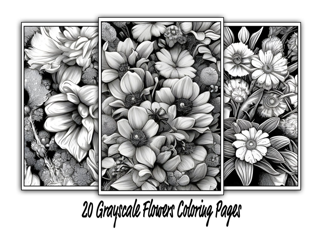 Flowers 20 Grayscale Coloring Pages Instant Digital Download - Etsy