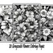 Flowers 20 Grayscale Coloring Pages Instant Digital Download - Etsy