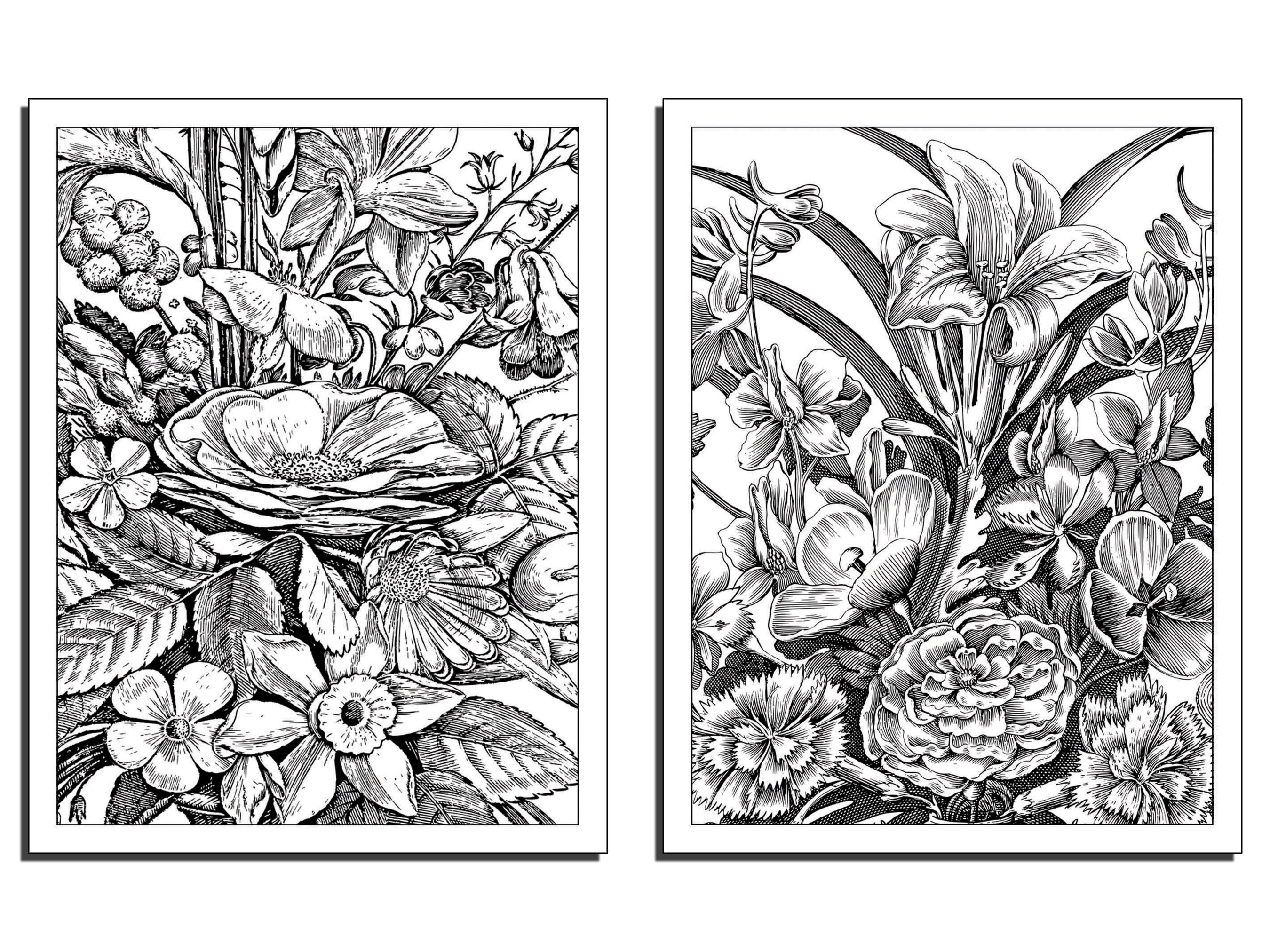 Grayscale Flowers Coloring Pages 50 Stunning Line Art Floral Coloring ...